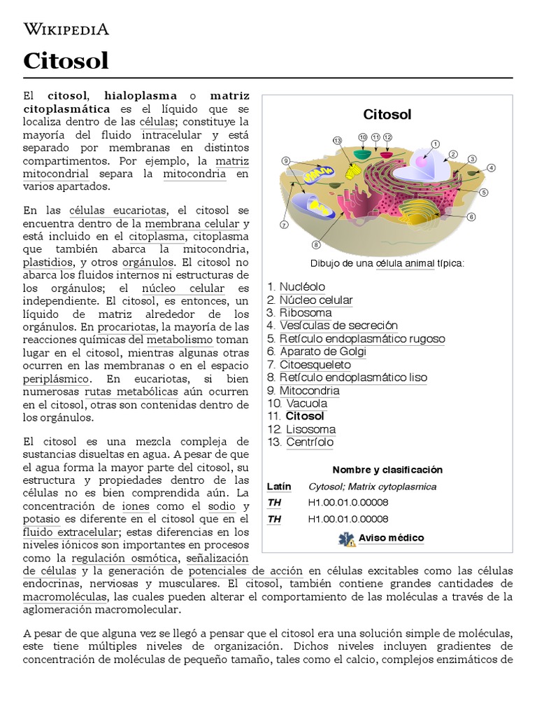 Citosol | PDF | Citosol | Anatomía