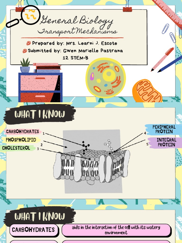 Cell Membrane Transport Mechanisms | PDF | Cell Membrane | Chemistry