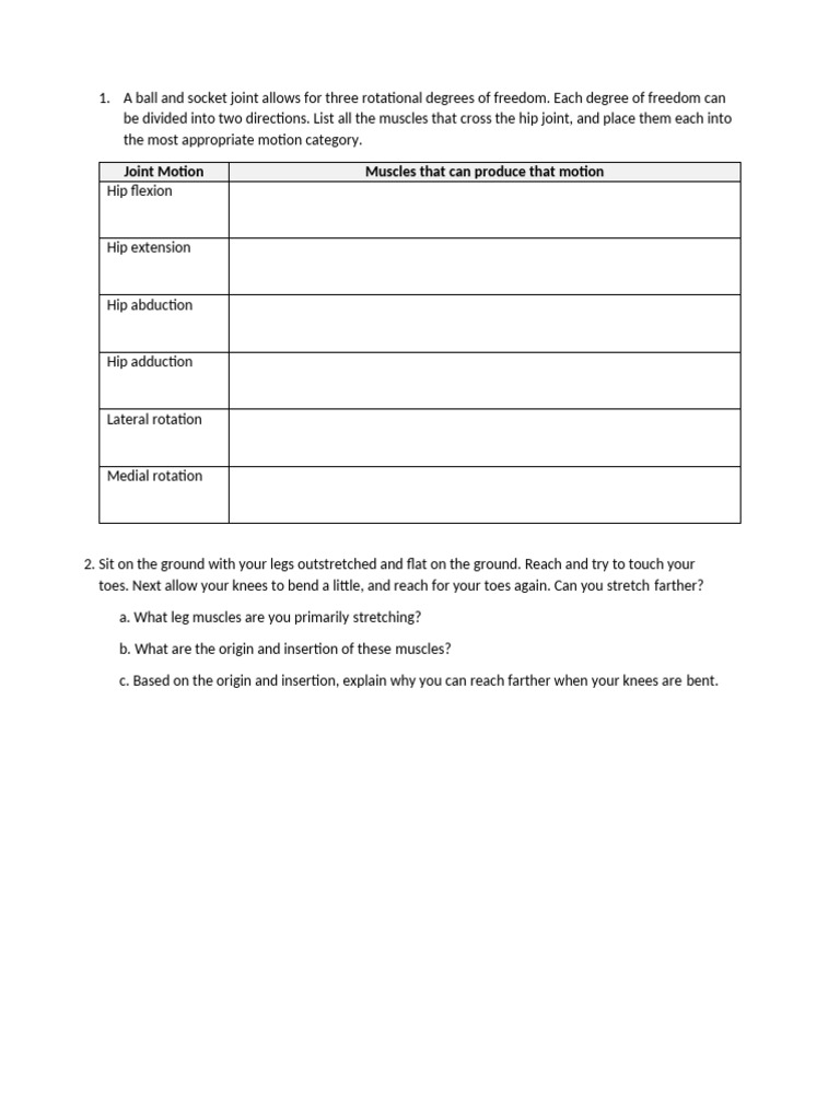 Pal Lower Limb Worksheet | PDF