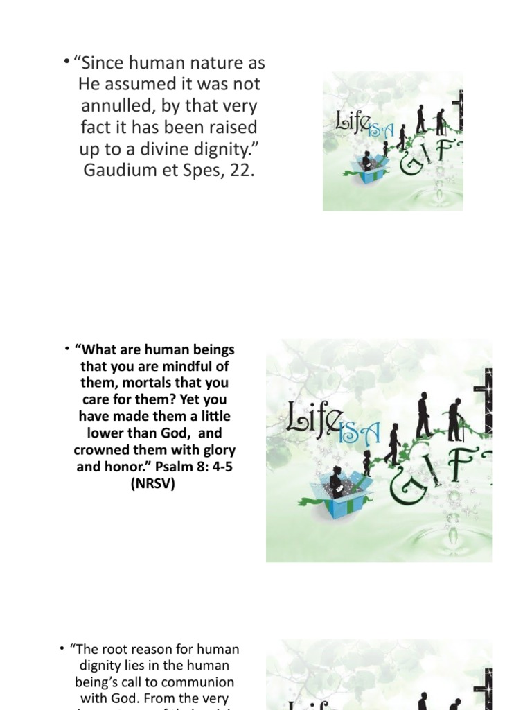 Human Dignity Is Innate | PDF
