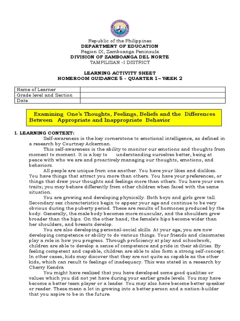 Homeroom Guidance 5: Self-Awareness Activities | PDF | Bullying | Learning