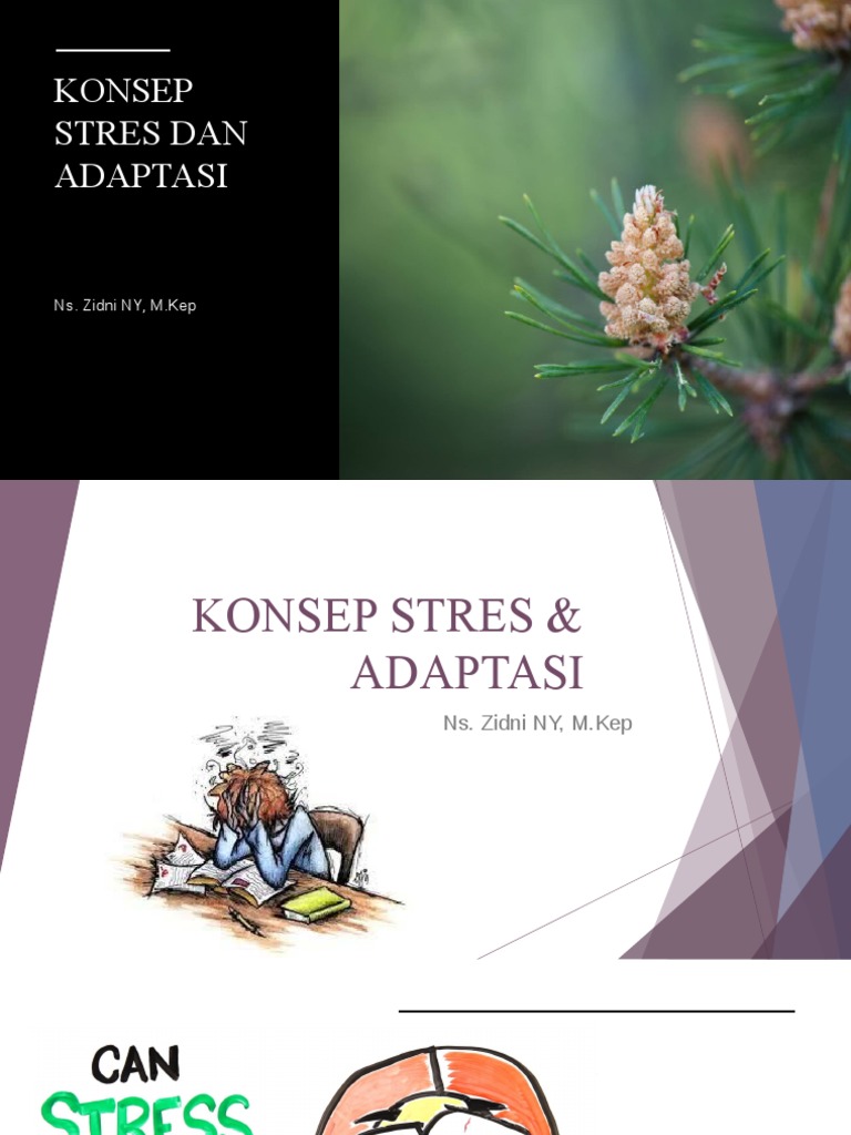 Konsep STRES DAN ADAPTASI | PDF