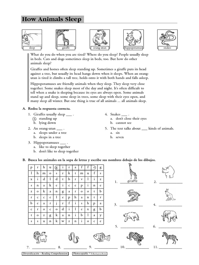 How Animals Sleep | PDF