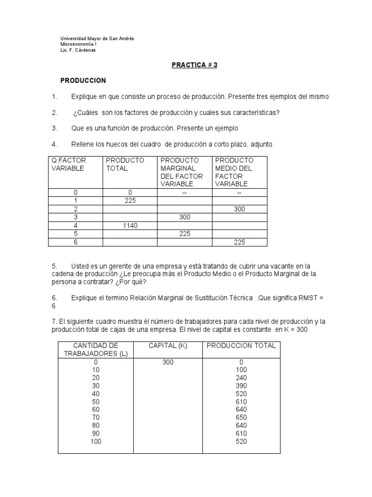 Practica Produccion | PDF | Función de producción | Business