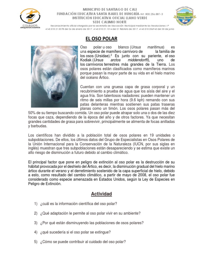 Información sobre el oso polar | PDF | Oso polar | Osos