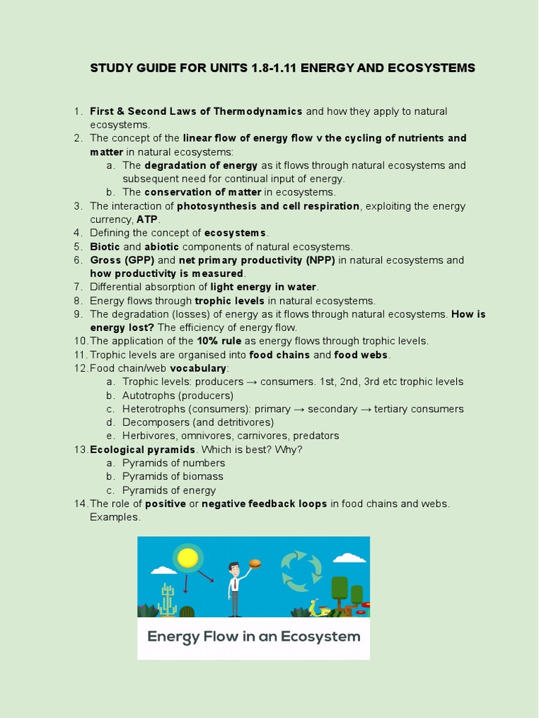 Study Guide For Units 1.8-1.11 Energy and Ecosystems: Matter in Natural ...