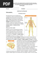 Digestión: Bolo, Quimo y Quilo | PDF | Digestión | Tracto gastrointestinal