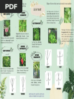 Plant Deficiencies Symptom Chart PDF | PDF | Plant Nutrition | Branches ...