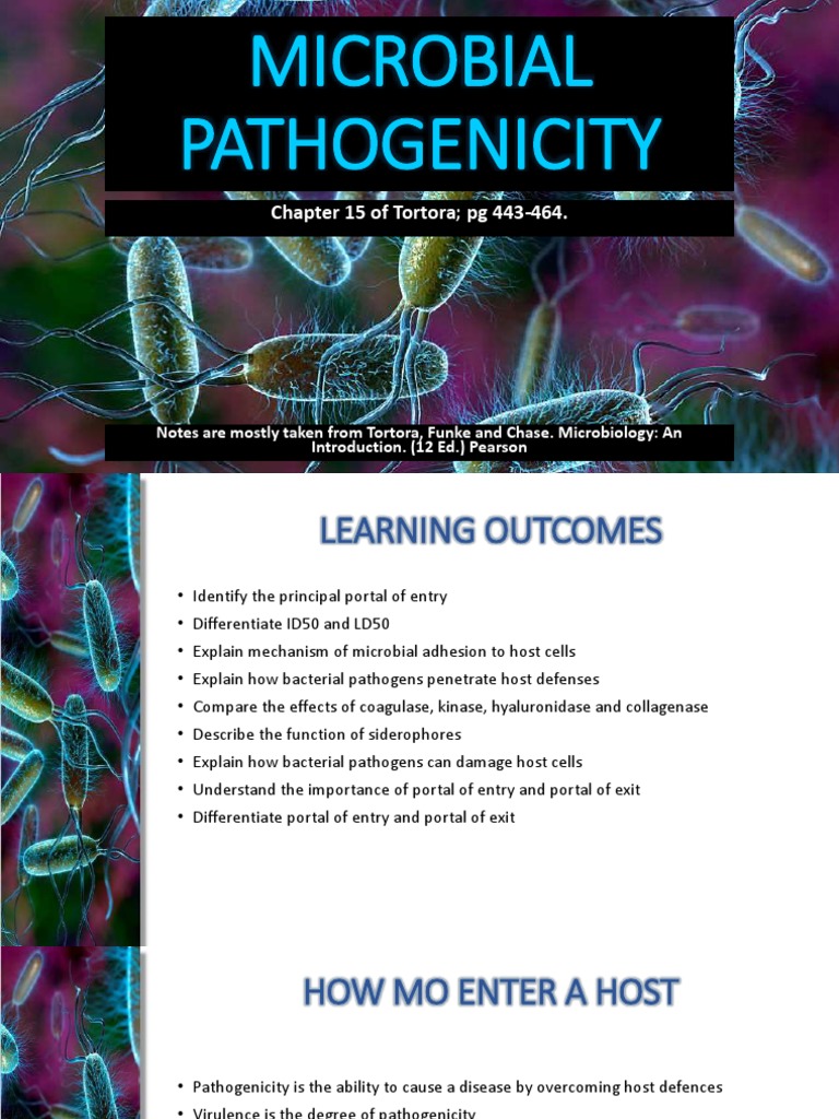 Microbial Pathogenicity | PDF | Lipopolysaccharide | Bacteria