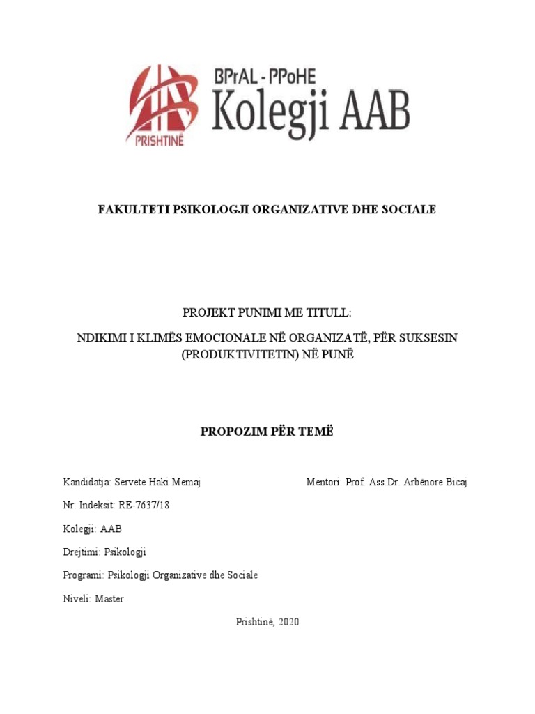 Projekt Propozim AAB | PDF