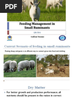 Goat and Sheep Reproductive System | PDF | Reproductive System ...