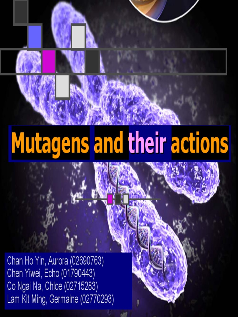 Mutagenesis of Dna Methylation Deamination | PDF | Mutagenesis | Mutation