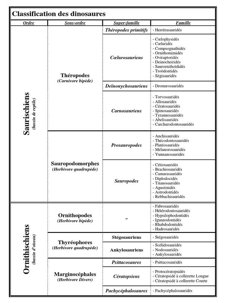 Classification des Dinosaures | PDF | Dinosaures | Taxon
