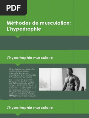 Ebook Programme Musculation Pdf Fitnessmith EBOOK MUSCULATION