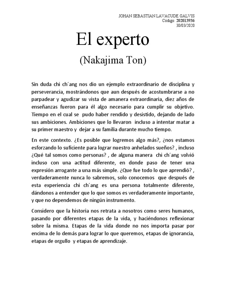 El Experto | PDF