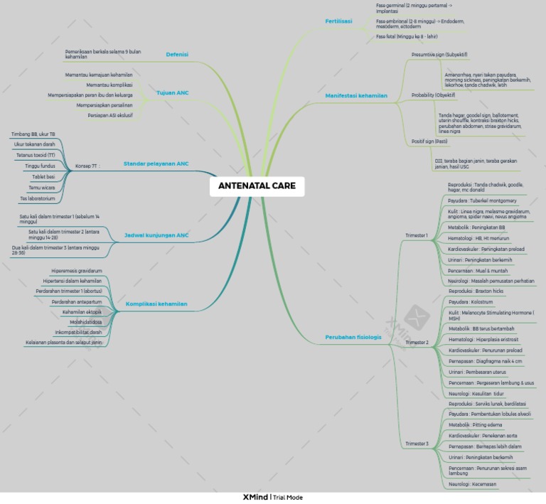 Mind Map Anc | PDF