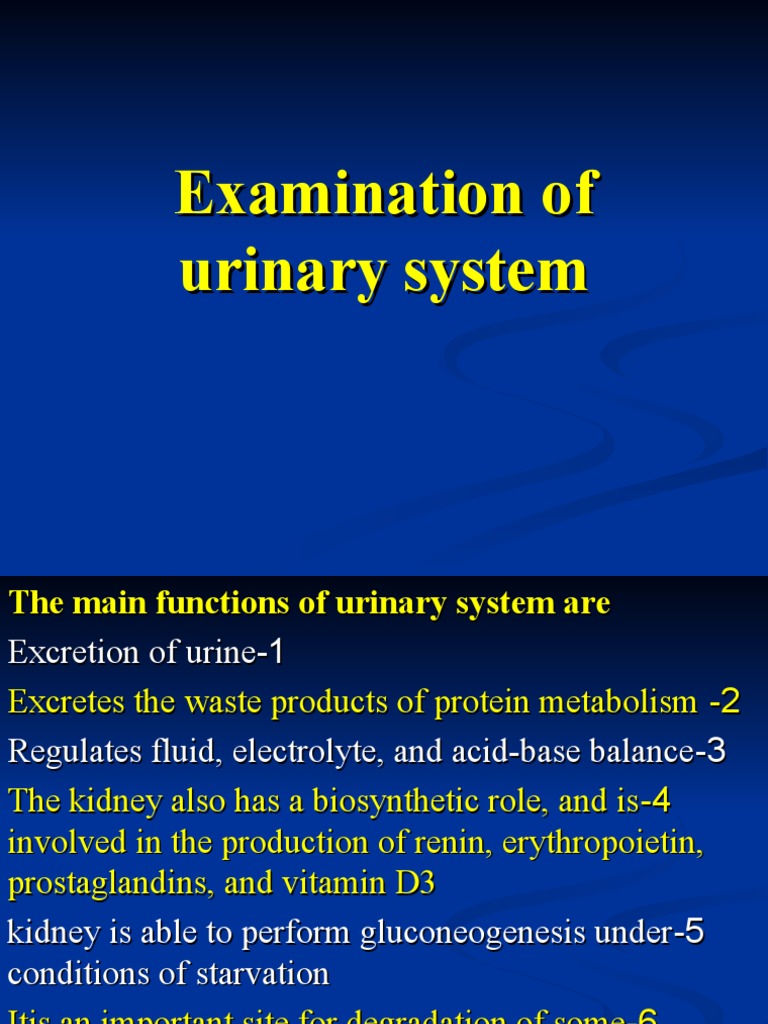 Urinary System Examination Overview | PDF | Self-Improvement | Wellness