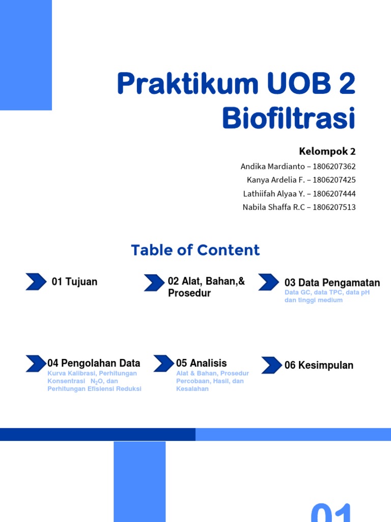 Efisiensi Biofiltrasi Gas N2O | PDF