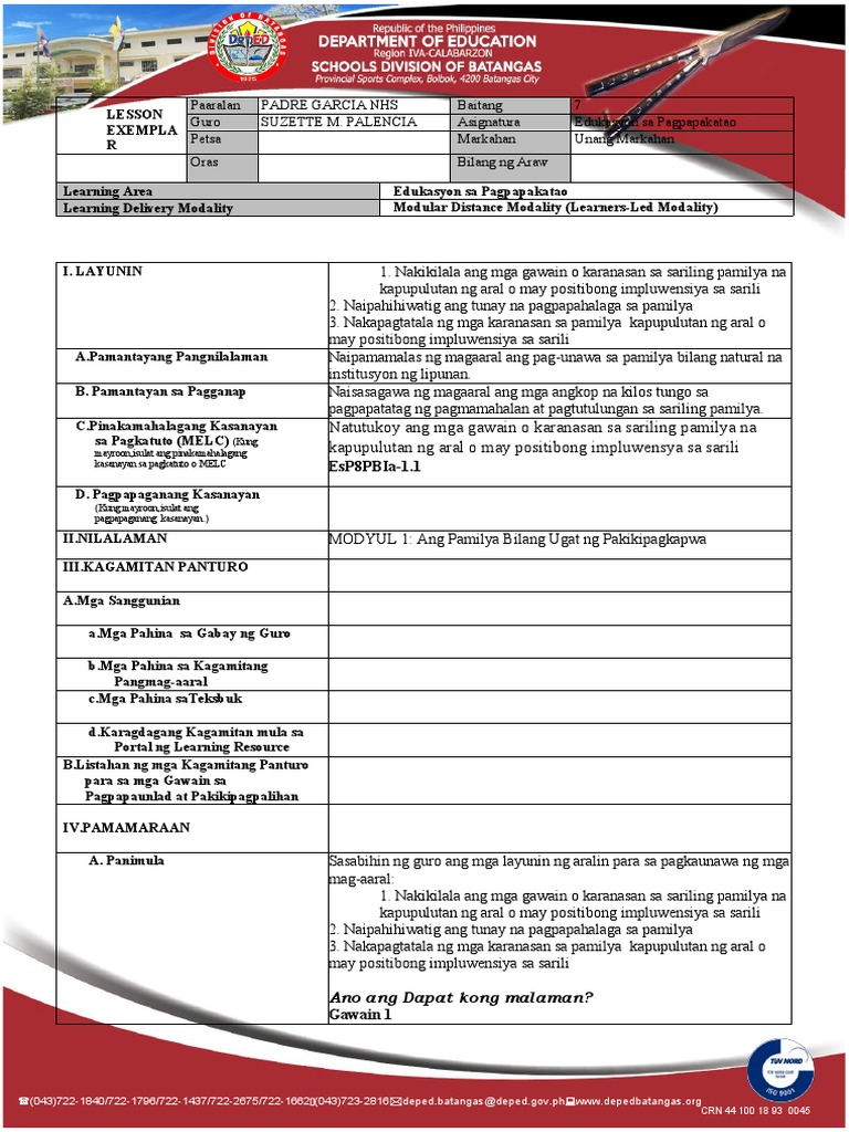 ESP-lesson-exemplar - Grade 8 (Suzette M. Palencia) | PDF