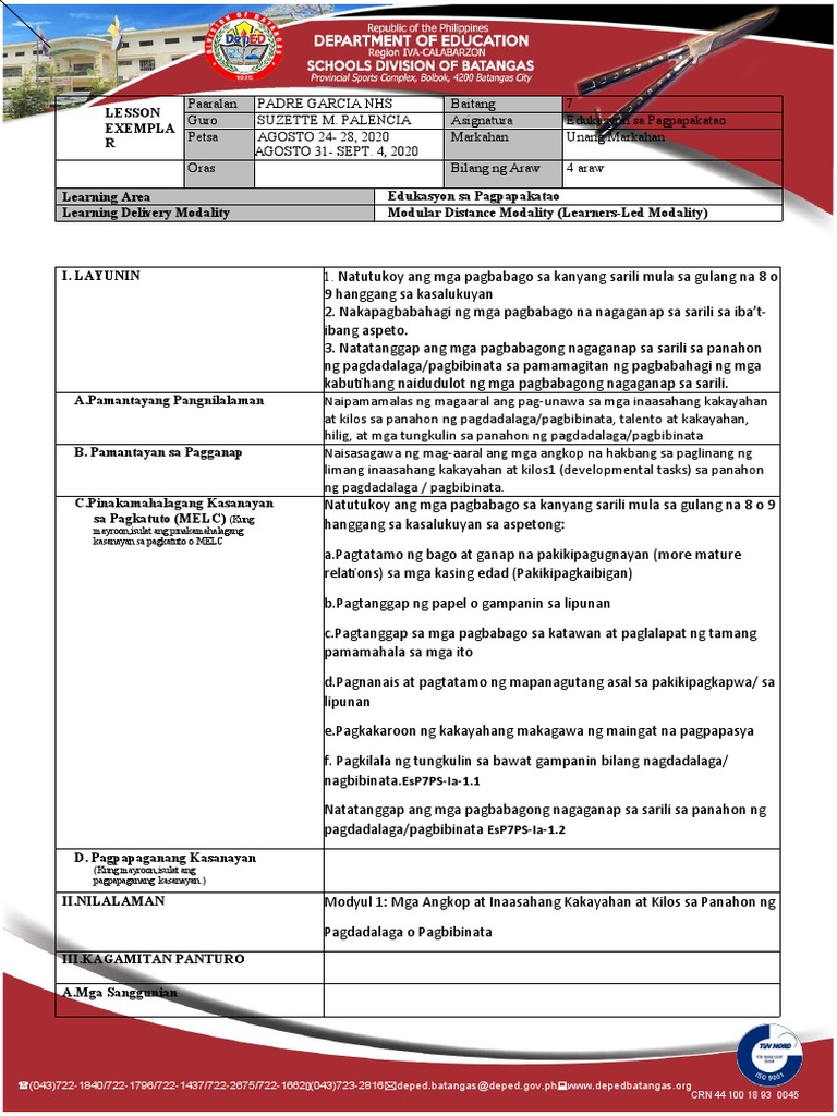 ESP-lesson-exemplar-grade 7 | PDF