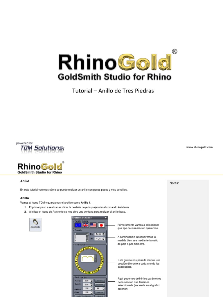 01 RhinoGold - Anillo de Tres Piedras | PDF