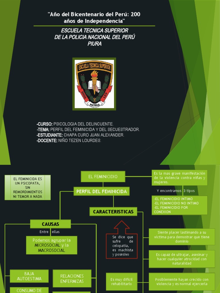 Mapa de Perfil-Psico | PDF | Secuestro | Mala conducta