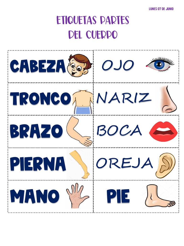 ETIQUETAS Partes Del Cuerpo | PDF