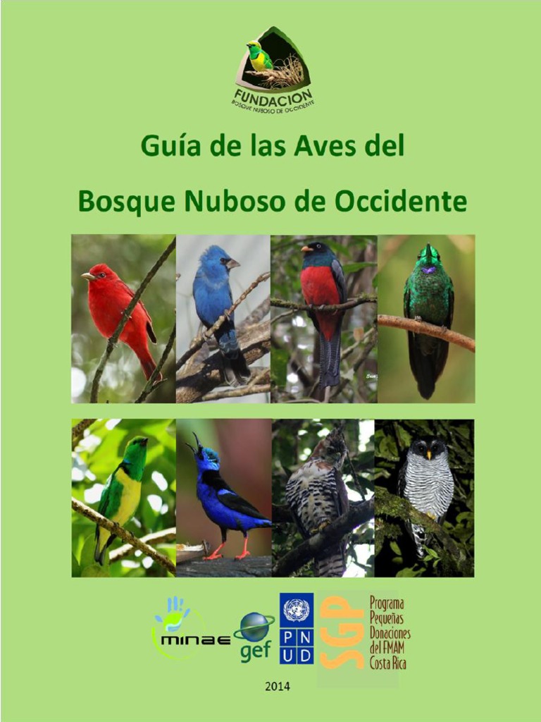Guia de Aves | PDF | Aves | Ornitología