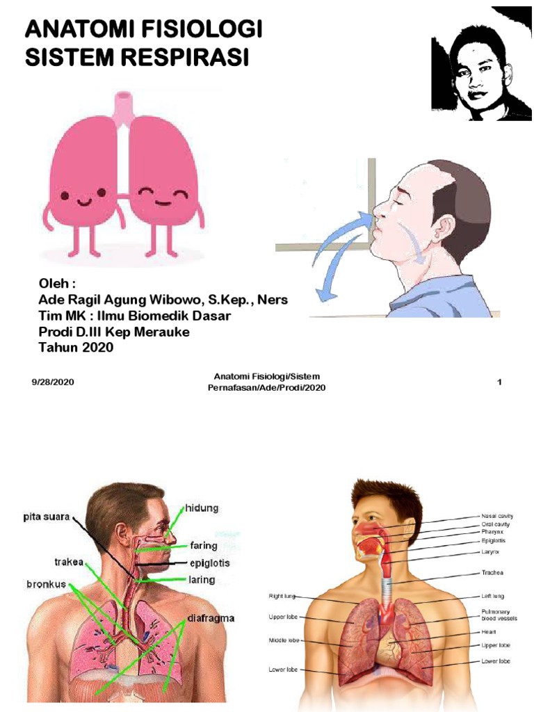 Anafis Sistem Respirasi | PDF