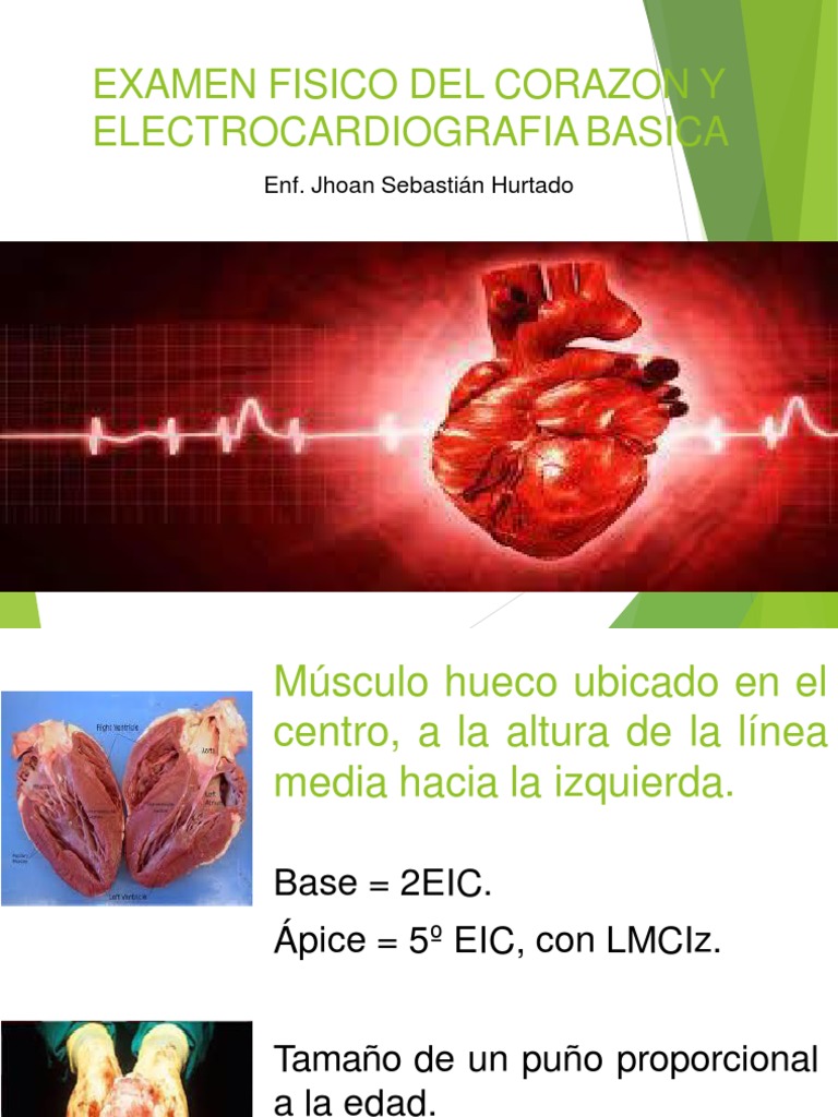 Ekg Basico | PDF | Electrocardiografia | Corazón