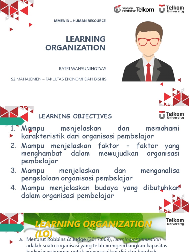 Learning Organization | PDF