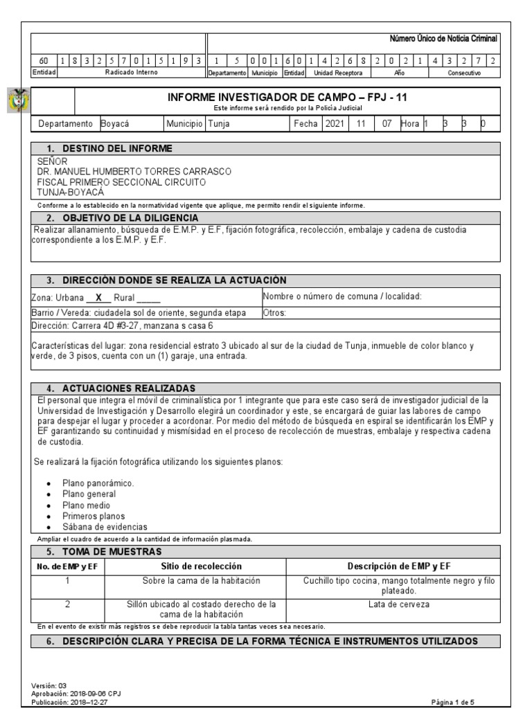 FPJ 11 Informe Investigador de Campo V 0 | PDF