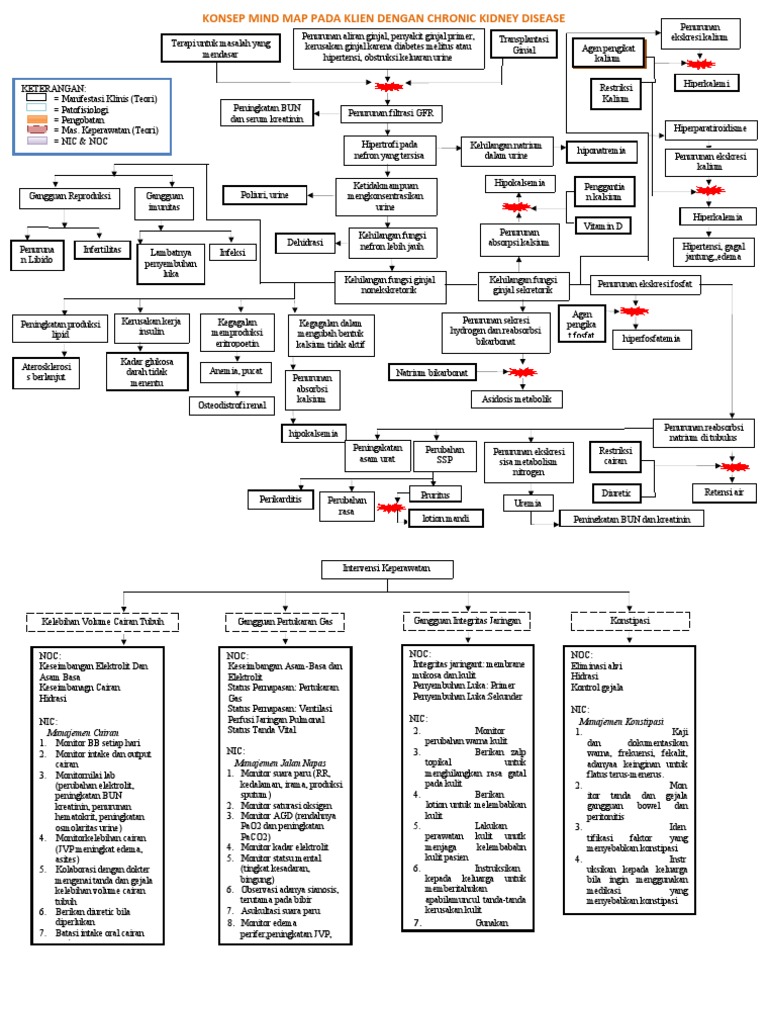 Konsep Mind Map Pada Klien Dengan CKD | PDF