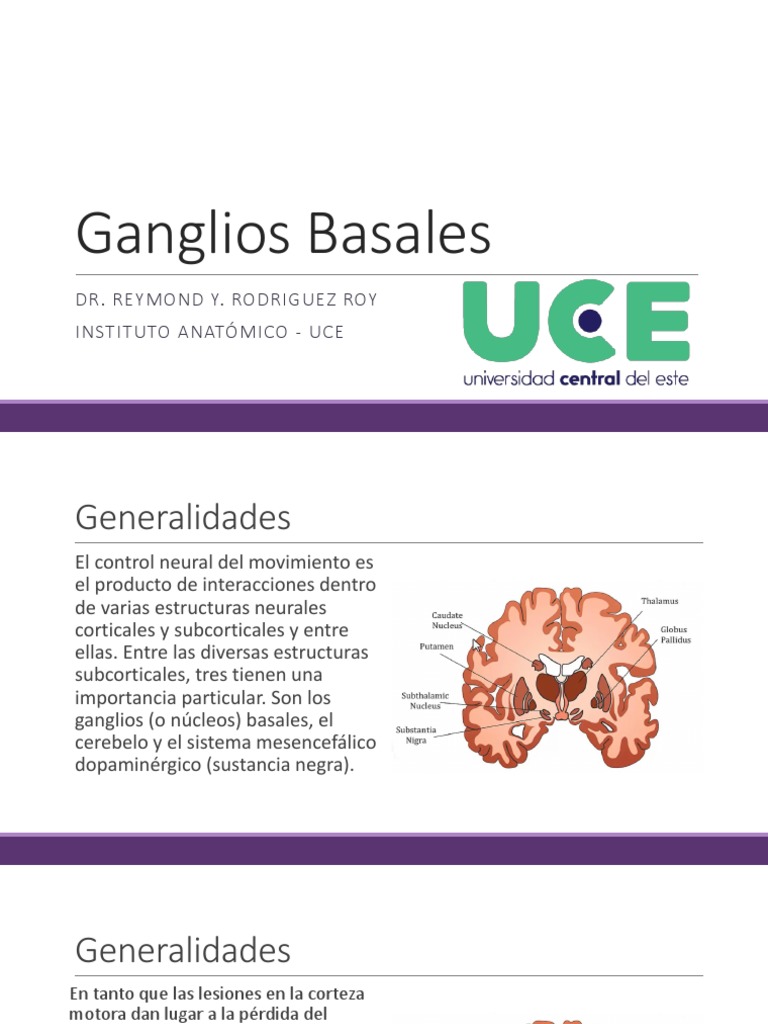 Funciones y Trastornos de Ganglios Basales | PDF | Ganglios basales ...