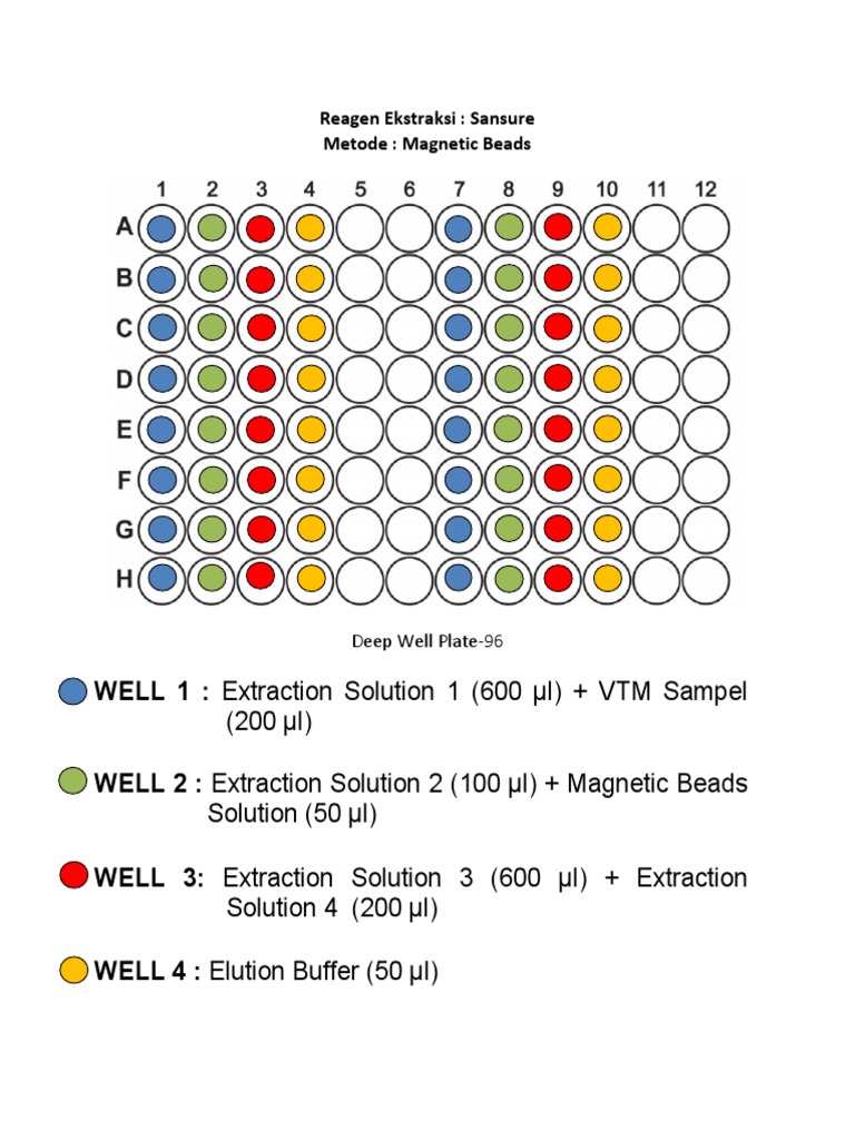 Visual Ekstraksi SANSURE | PDF