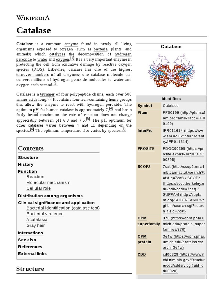 Catalase: Catalase Is A Common Enzyme Found in Nearly All Living | PDF ...