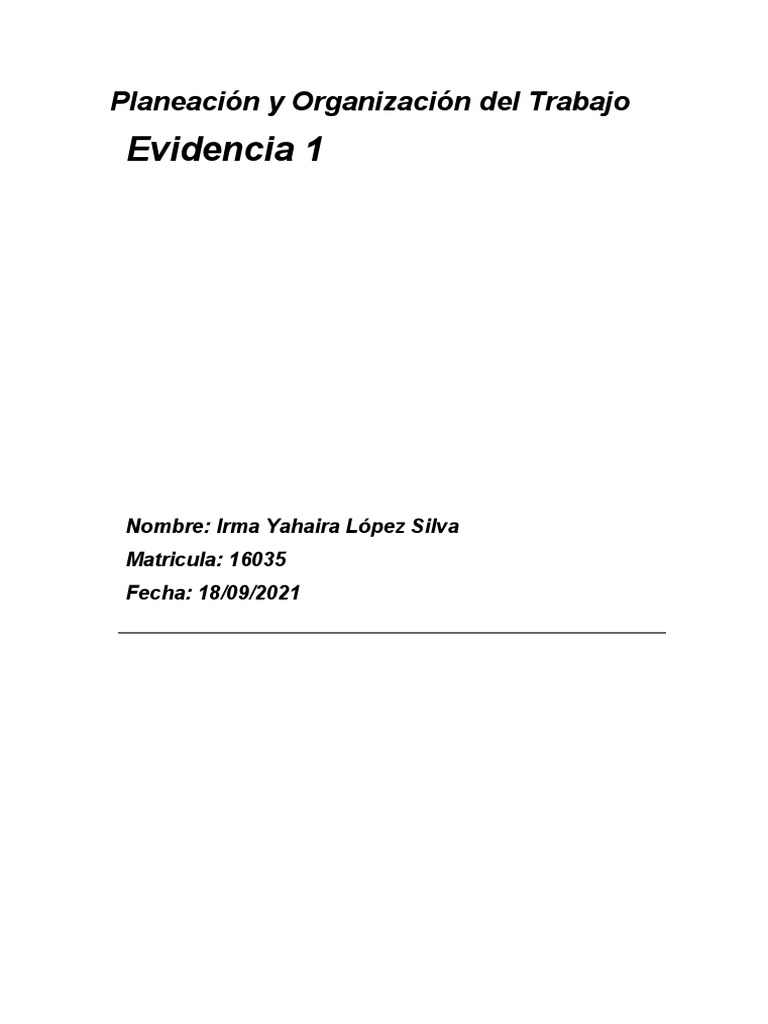 Modelo Organizacional de Autozone | PDF | Marketing | Planificación ...