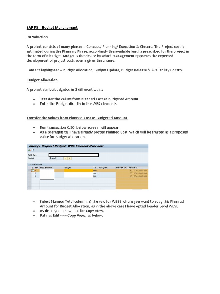 Sap Ps Budget Management Pdf Budget Euro