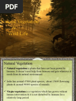 Disaster Management 9th Class Project | PDF | Natural Disasters | Emergency Management