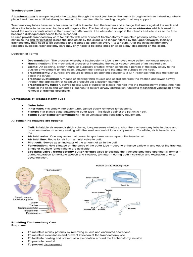 Tracheostomy Care | PDF | Respiratory Tract | Medical Specialties