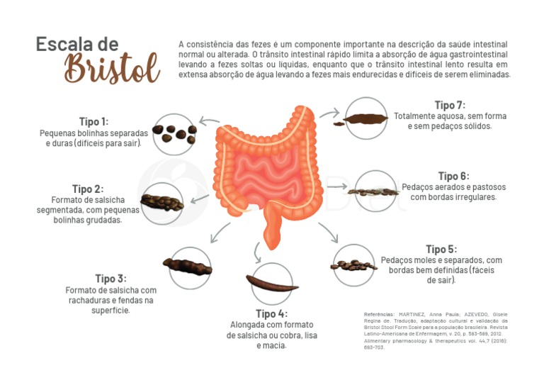Escala de Bristol: Saúde Intestinal e Fezes | PDF
