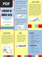 Ejercicios de Buerguer Allen para Circulación | PDF