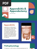 Appendicitis Nursing Notes | PDF | Digestive Diseases | Rtt