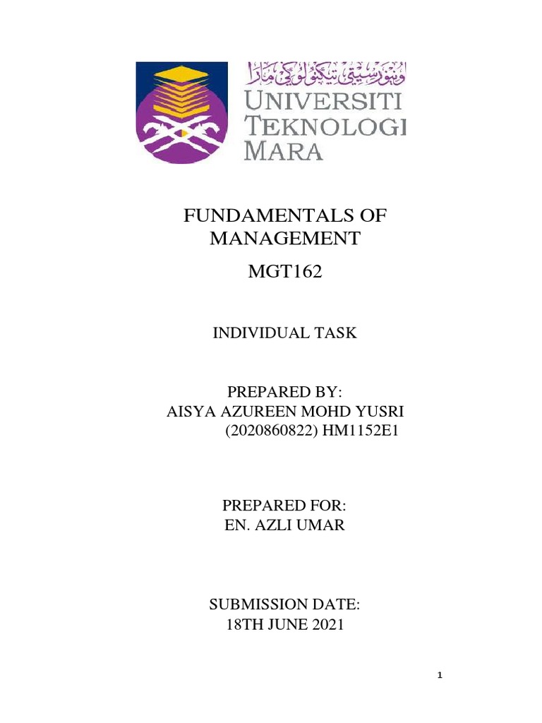 MGT162 Individual Assignment | PDF | Sales | Marketing