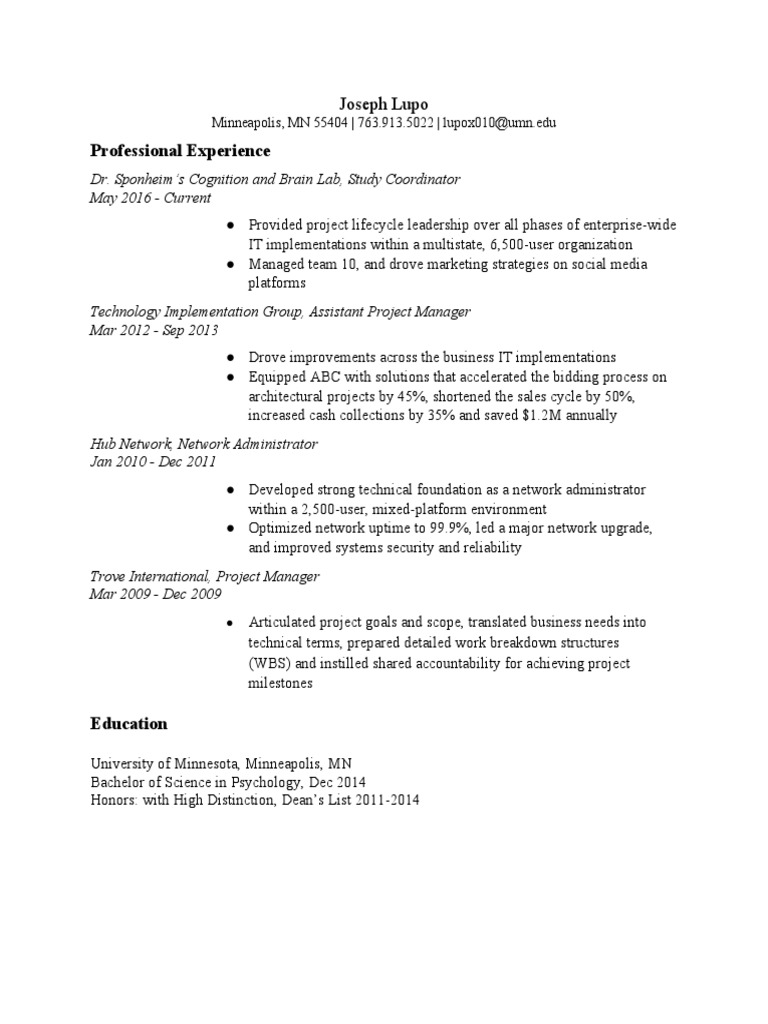 Project Manager Resume Sample | PDF