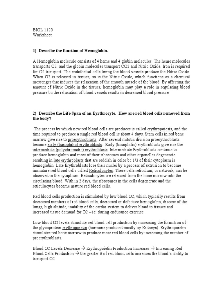 Blood Worksheet | PDF | Coagulation | Platelet