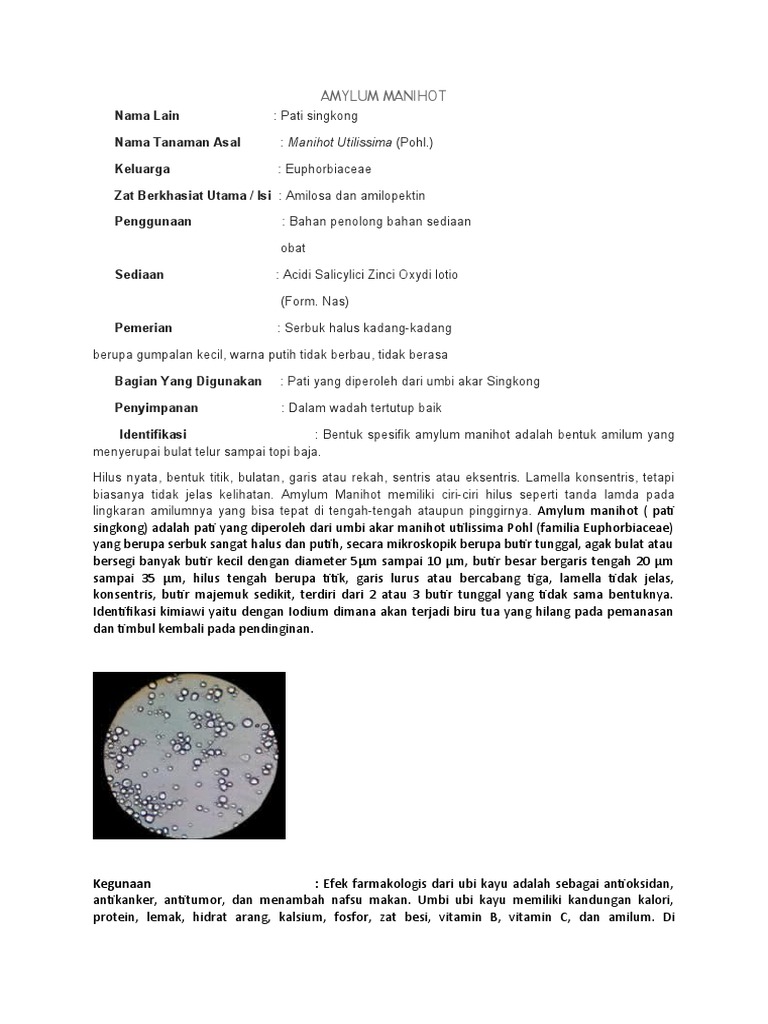 Amylum Manihot | PDF