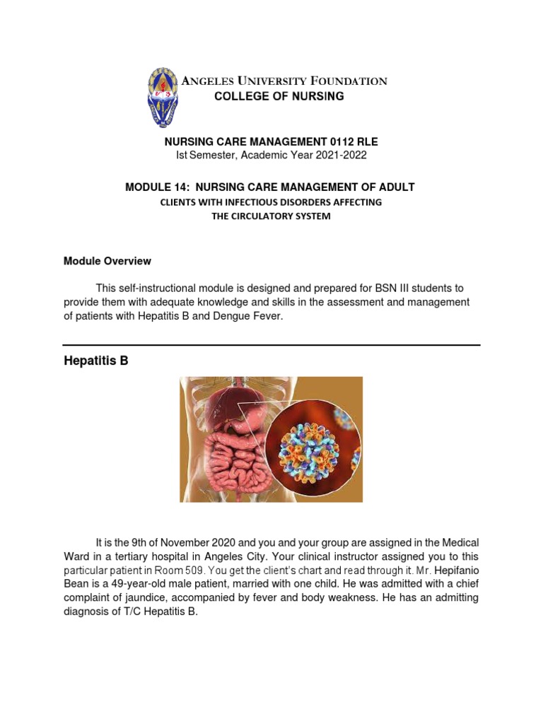 Module14 Content Nursing Care Management of Adult | PDF | Hepatitis B ...