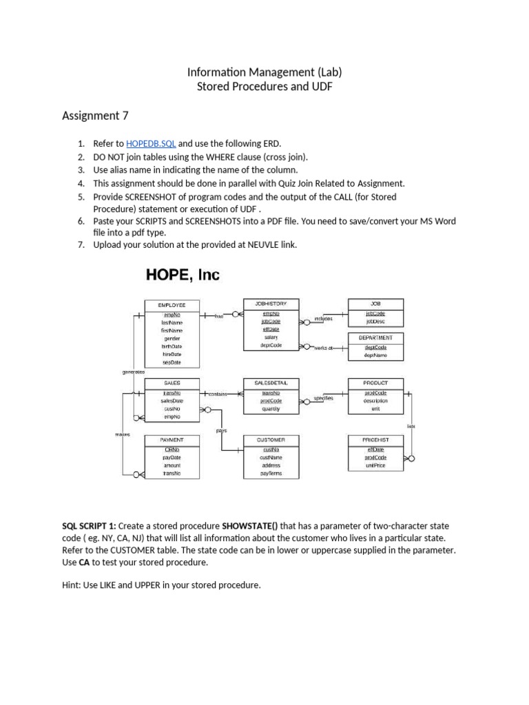 Information Management (Lab) Stored Procedures and UDF Assignment 7 | PDF