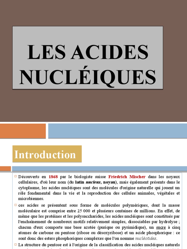 Acides Nucléiques : Structure et Rôles | PDF | Acide nucléique | Acide ...